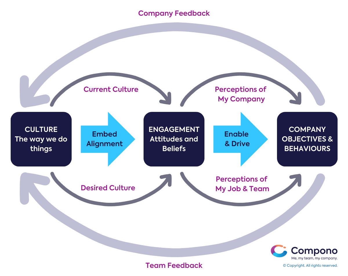 The Compono Culture, Engagement & Performance Model